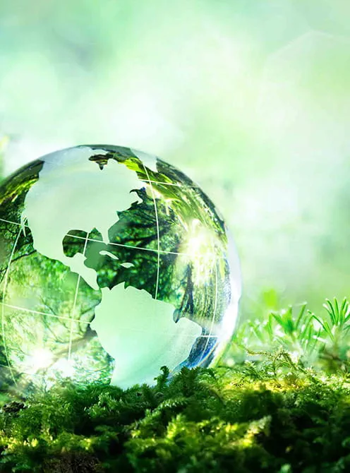 Verantwortung für die Umwelt bei Festool